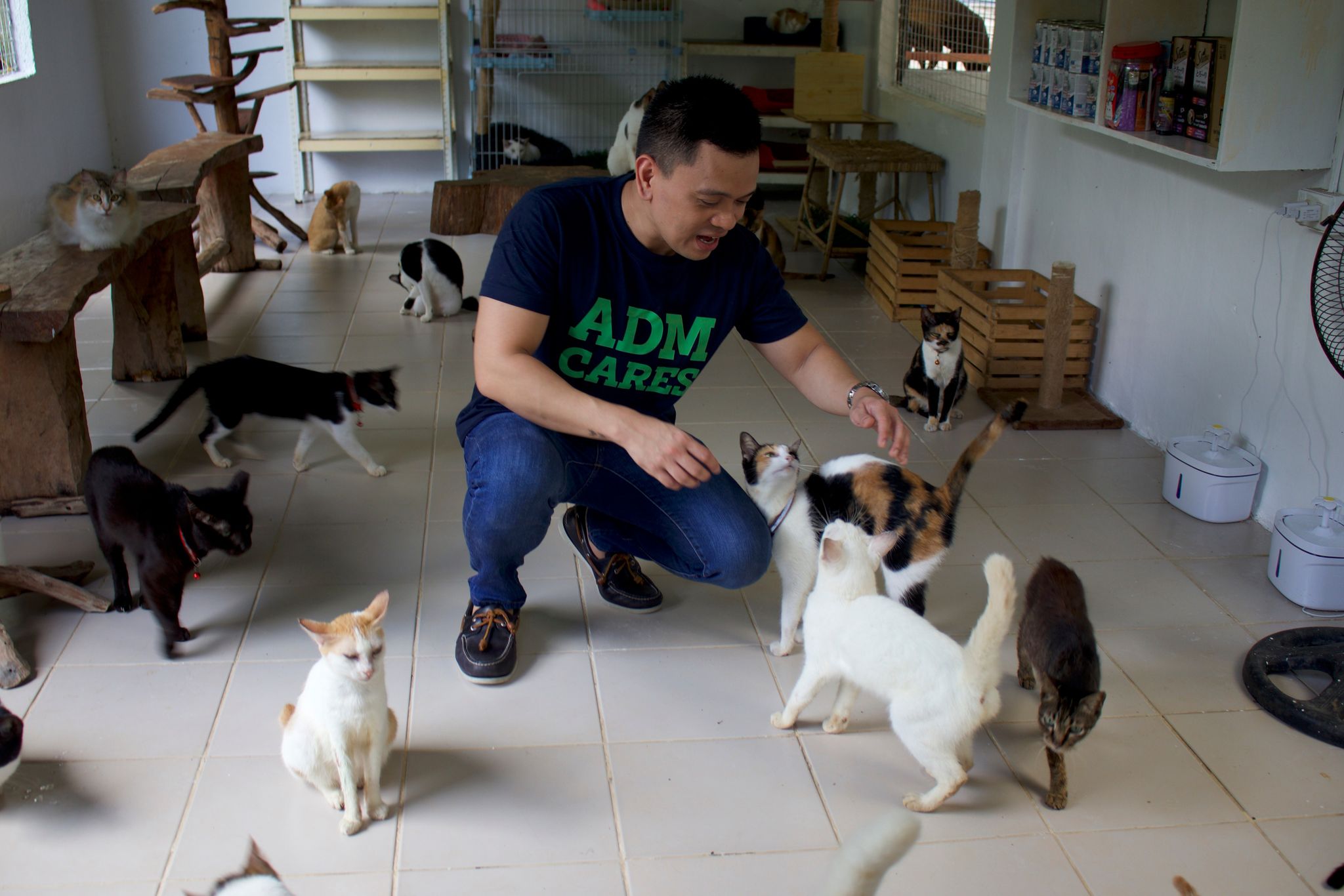 ADM Cares partners with Pawssion Project to advance pet welfare in the ...