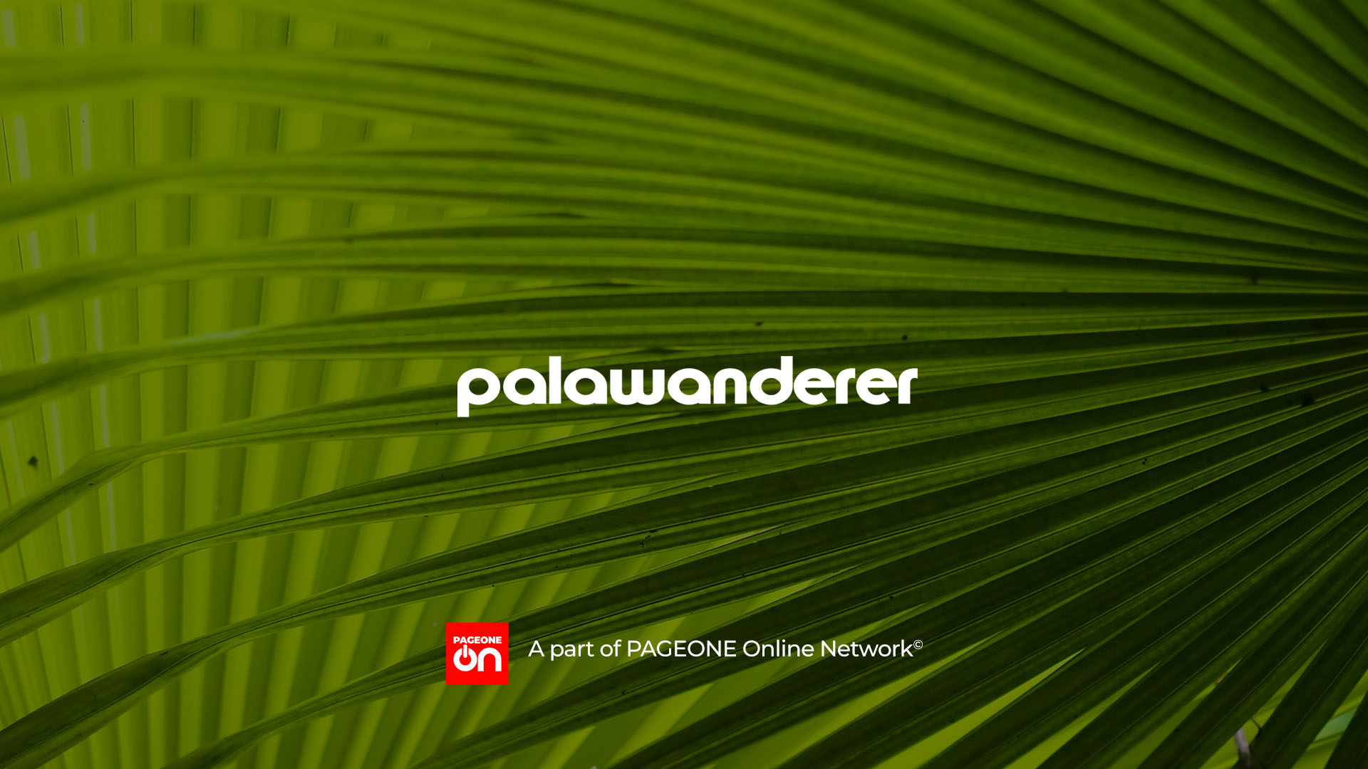 Palawanderer.net