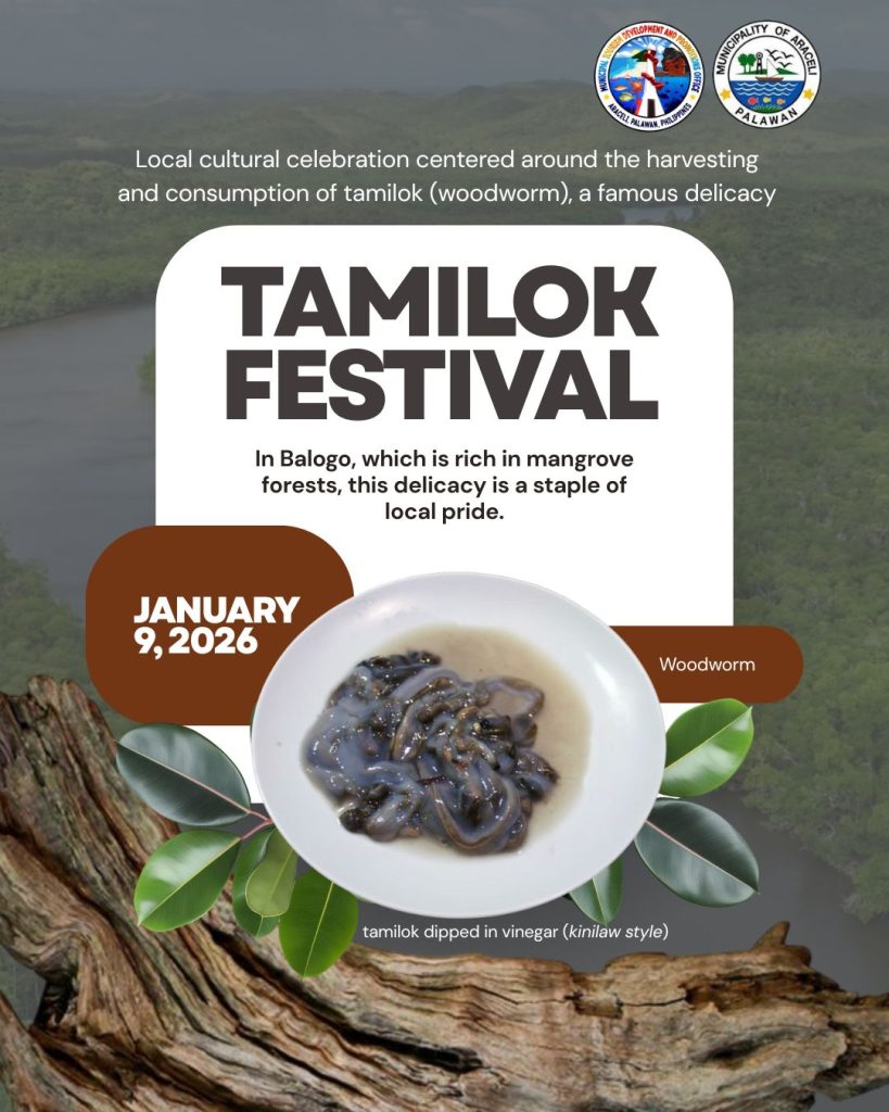Festivals and Fiesta : The Complete Guide to Palawan and Puerto ...